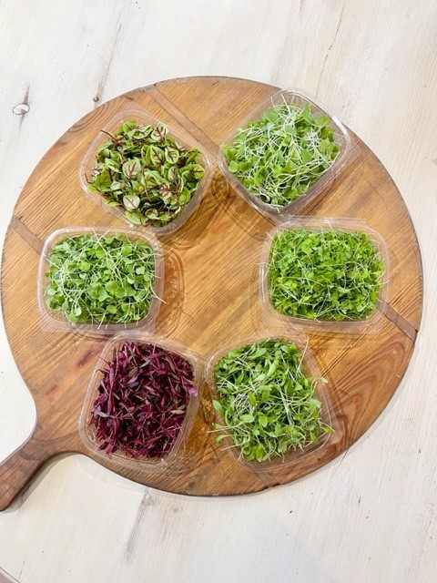 Edible Flowers | Herbs Unlimited Yorkshire Grown Flowers